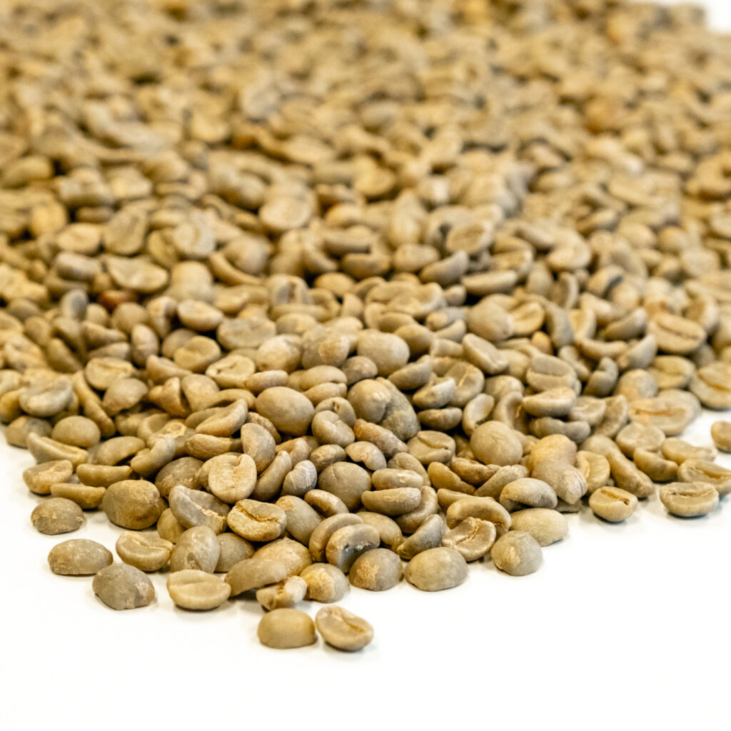 Products | Coffein Compagnie Italy